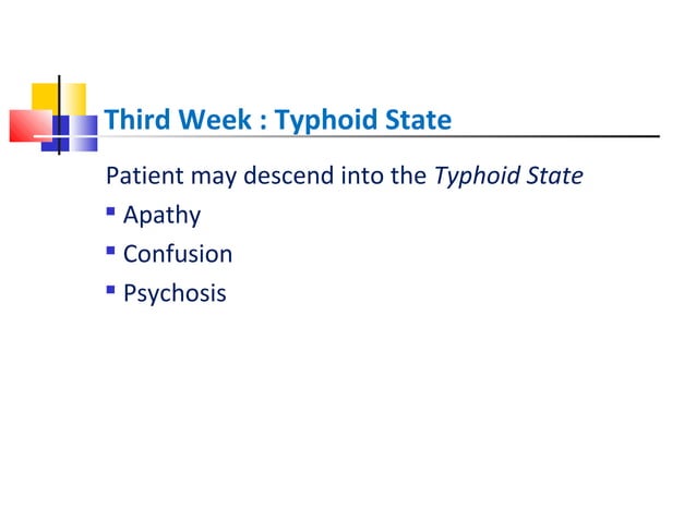 Typhoid | PPT | Infectious Diseases | Diseases and Conditions