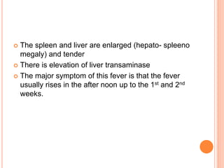 Typhoid | PPTX