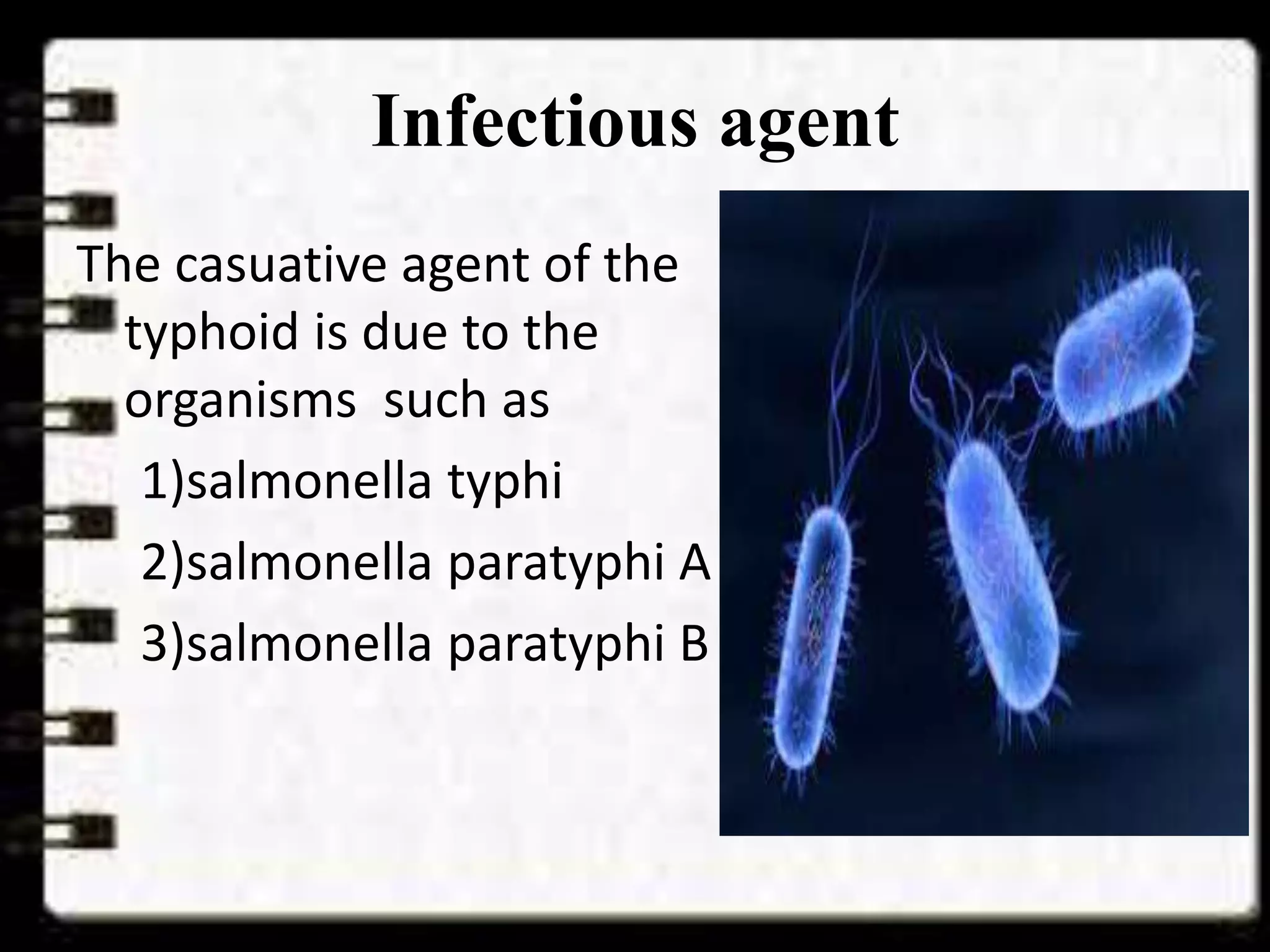 Typhoid | PPTX
