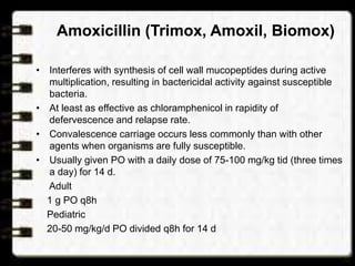 Typhoid | PPTX