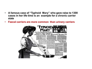Typhoid | PPTX