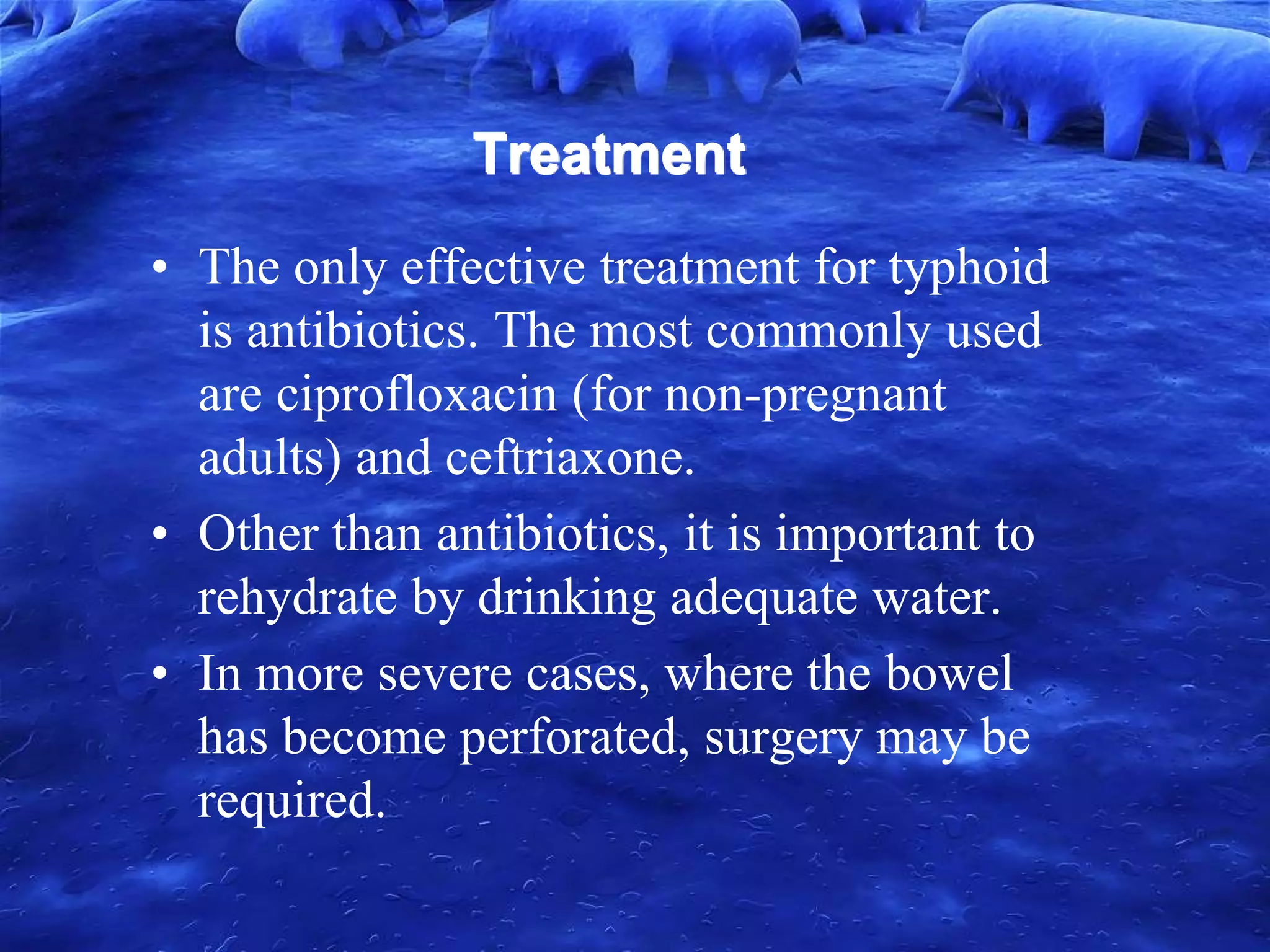 Typhoid | PPTX