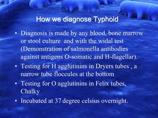 Typhoid | PPTX