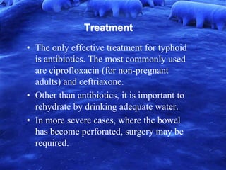 Typhoid | PPTX