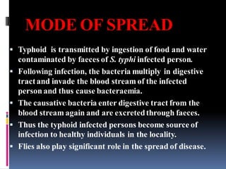 Typhoid | PPT