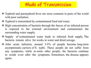 Typhoid | PPT
