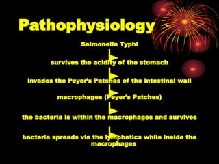 Typhoid fever | PDF | Digestive Disorders | Diseases and Conditions