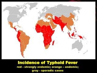 Typhoid fever | PDF