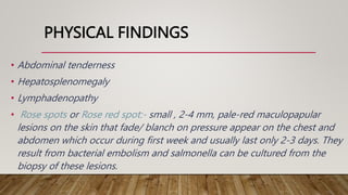 typhoid.pptx