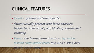 typhoid.pptx