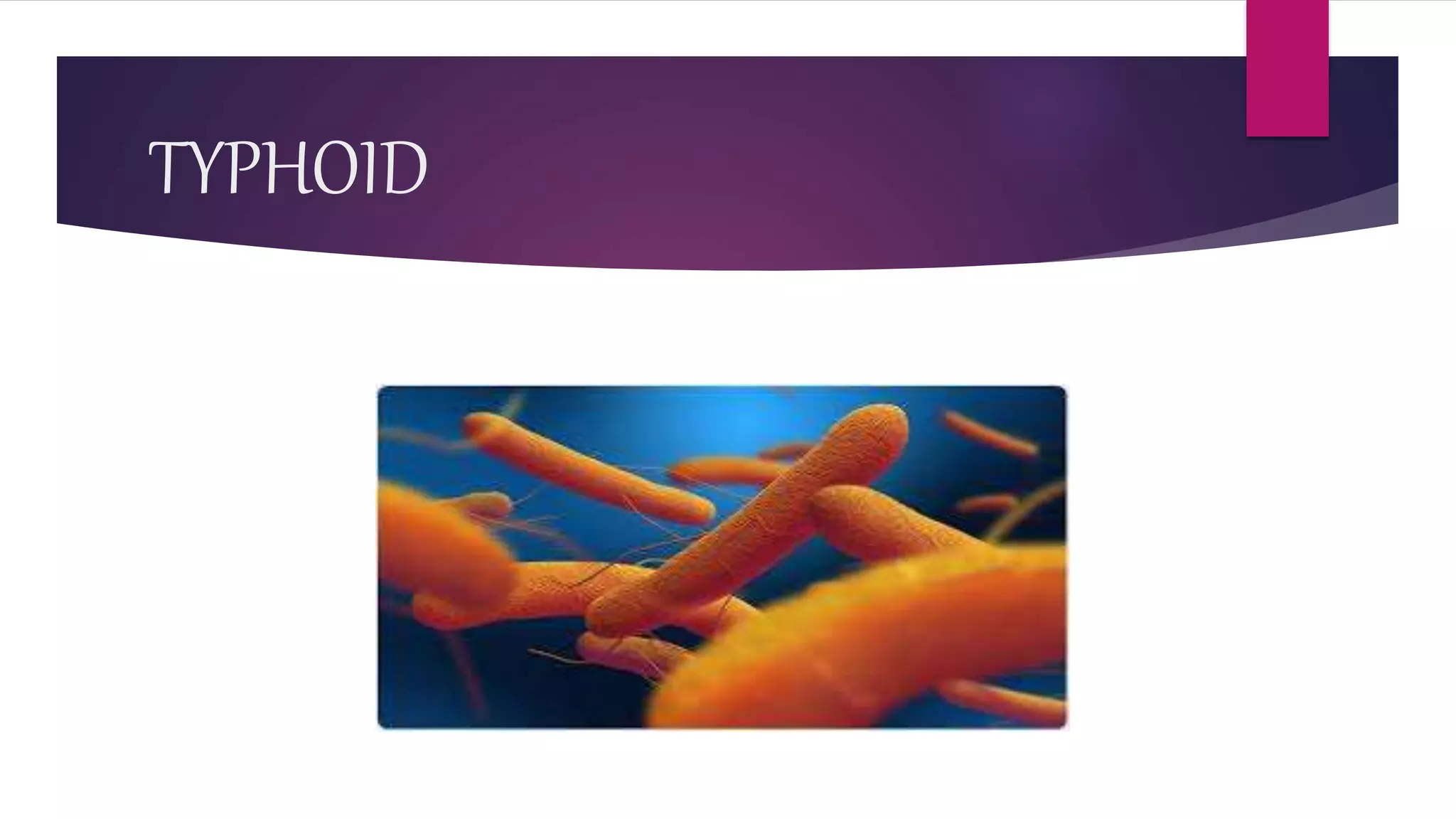 Typhoid.pptx