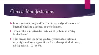 Typhoid.pptx