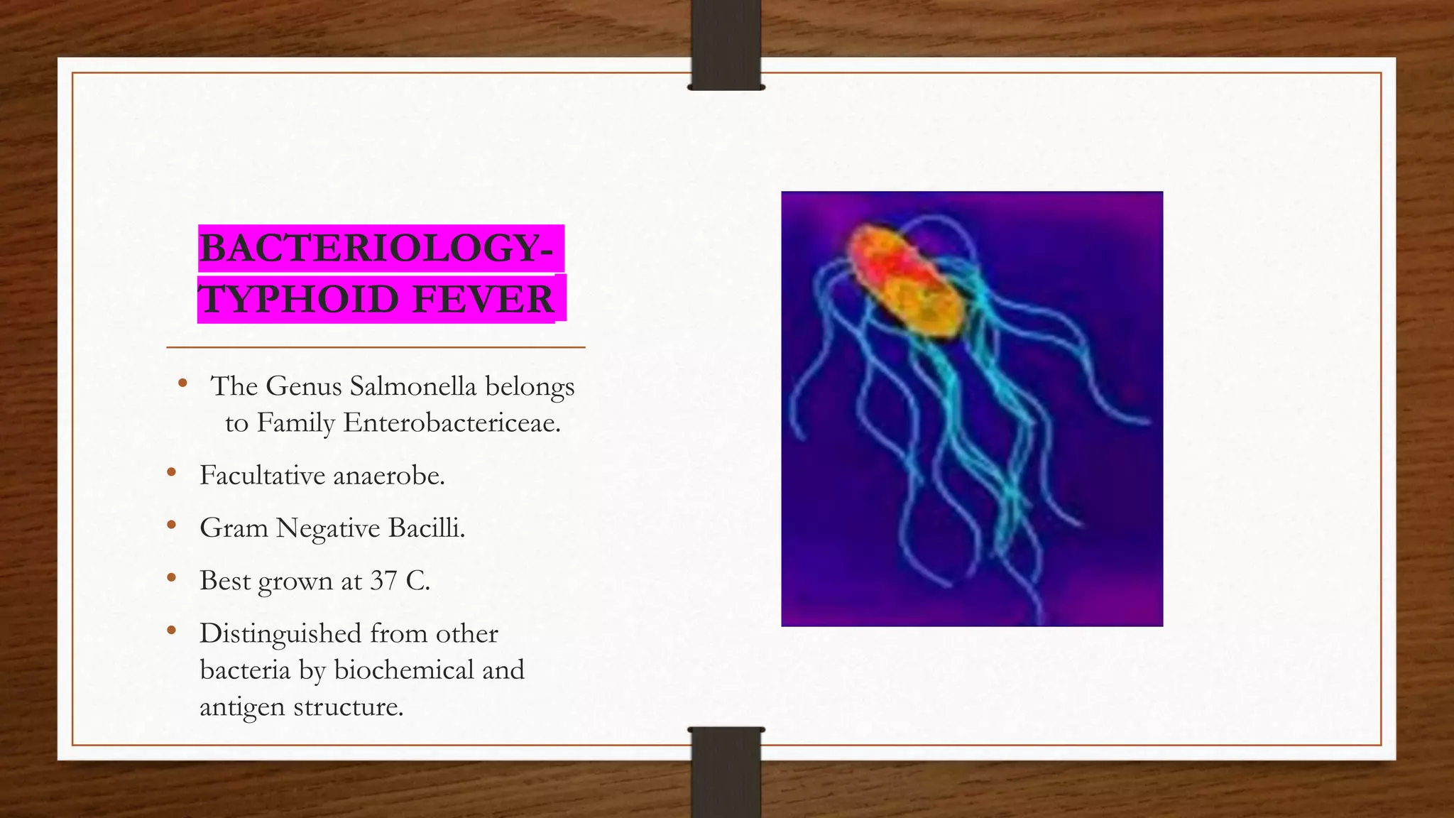 Typhoid fever or enteric fever | PPT