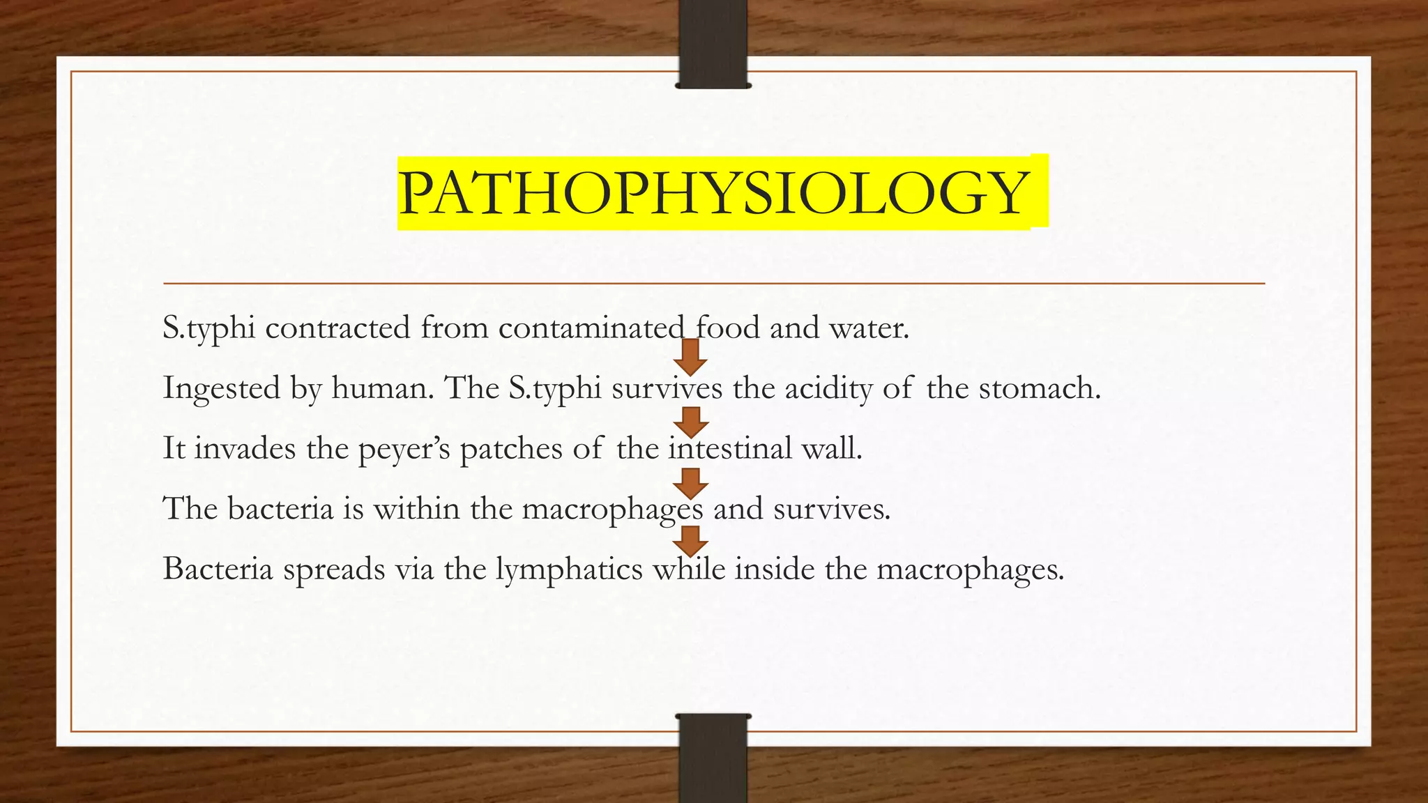 Typhoid fever or enteric fever | PPT