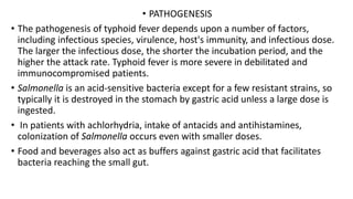 typhoid.pptx lecture in 4th yr medicine in homoeopathy | PPTX