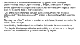 typhoid.pptx lecture in 4th yr medicine in homoeopathy | PPT