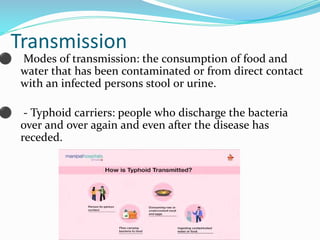 Typhoid and its transmission and its prevention and medication | PDF