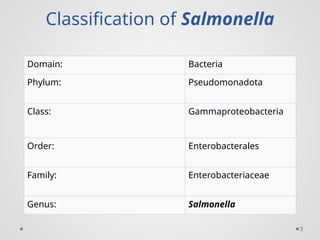 Typhoid fever.( Agent,Characteristics,Cause,Symptoms,Dignosis,Treatment ...