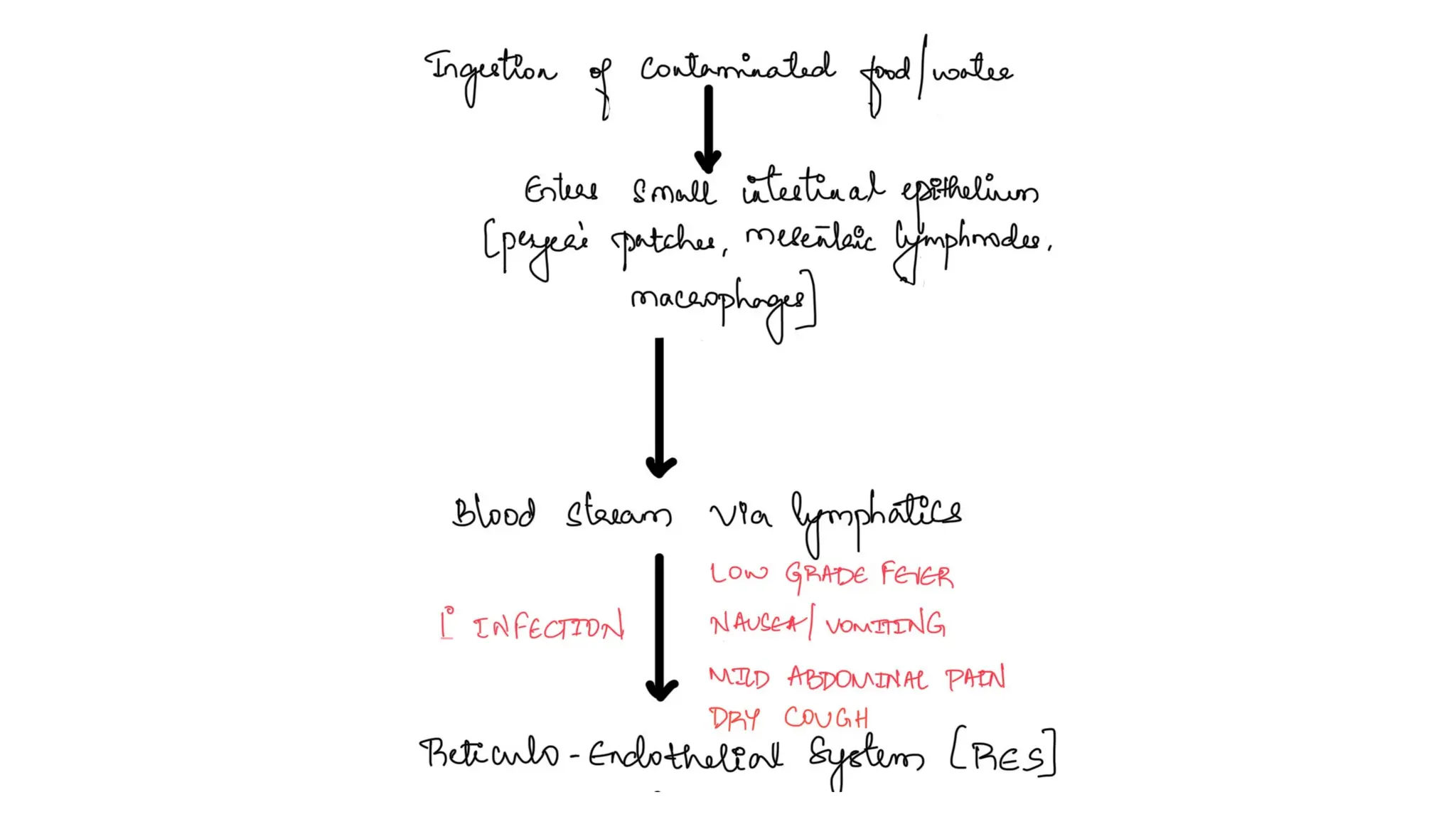TYPHOID etiopathogenesis,route of infection | PPT