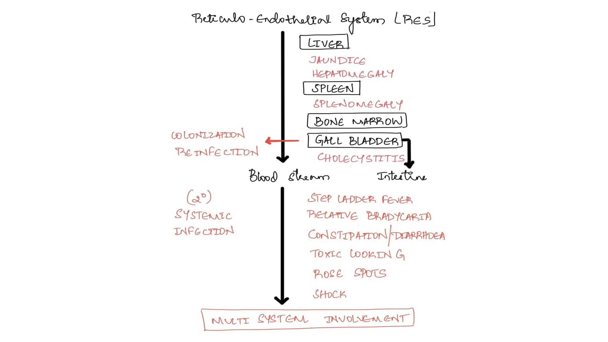 TYPHOID etiopathogenesis,route of infection | PPT