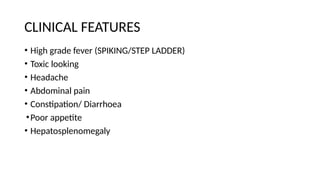 TYPHOID etiopathogenesis,route of infection | PPT