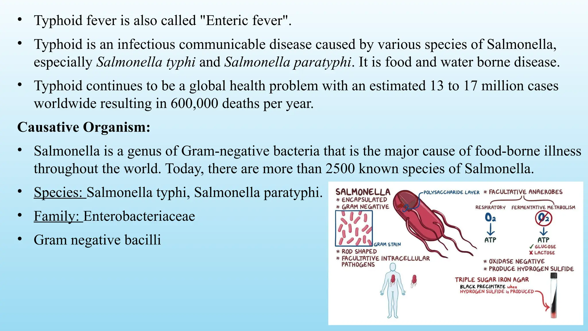 Typhoid - Communicable Diseases, causative agents, Clinical ...
