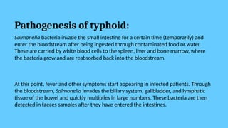 Typhoid fever, Introduction, How it spread, what are the sign and ...