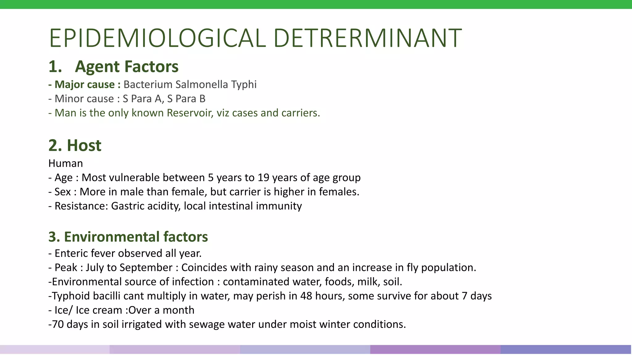 Typhoid Fever | PPTX