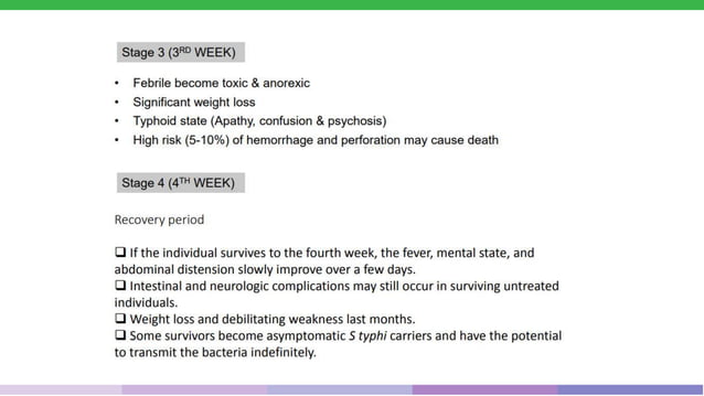 Typhoid Fever | PPT