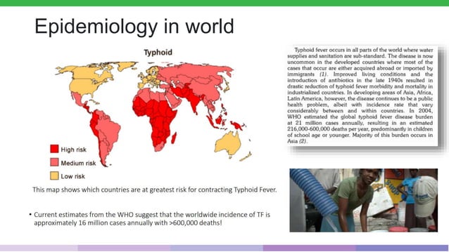 Typhoid Fever | PPT