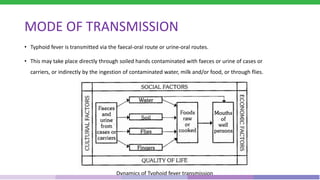 Typhoid Fever | PPT