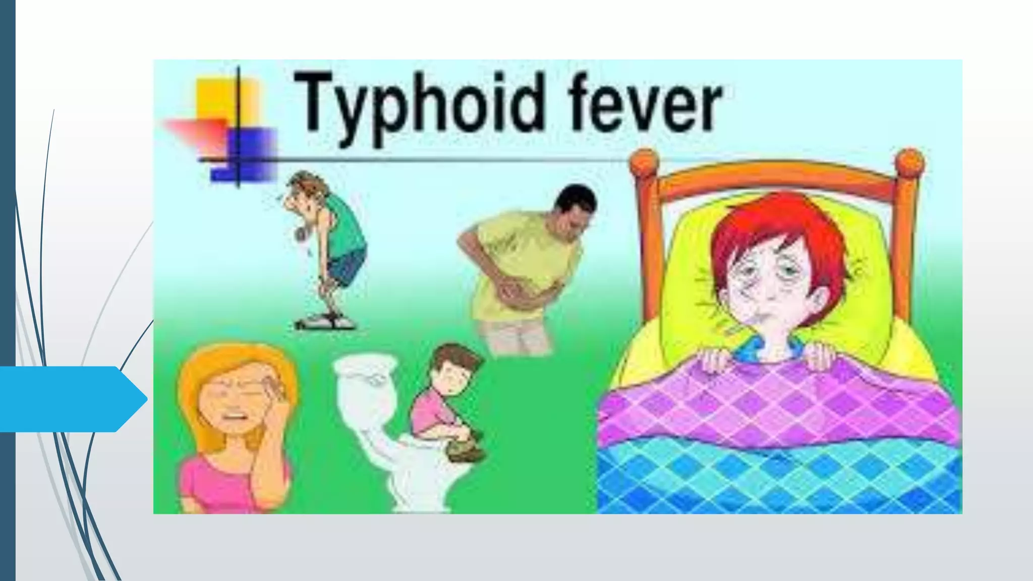 Typhoid fever | PPTX