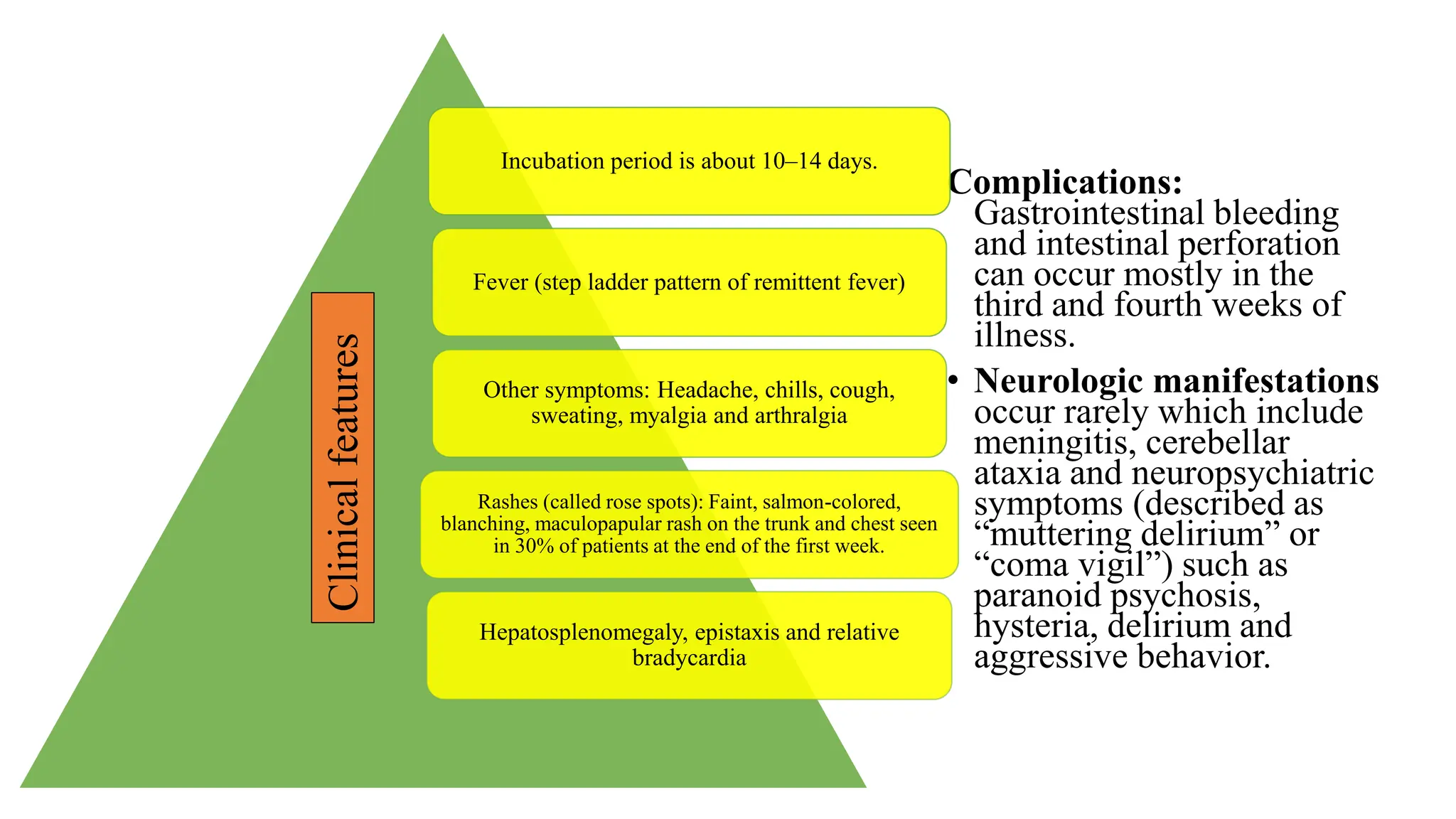 Typhoidal and non typhoidal salmonella.pptx