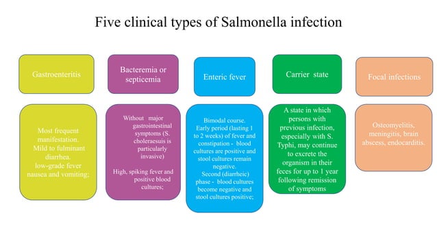 Typhoidal and non typhoidal salmonella.pptx