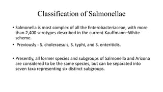 Typhoidal and non typhoidal salmonella.pptx