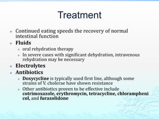 Typhoid & c holera zaim | PPTX