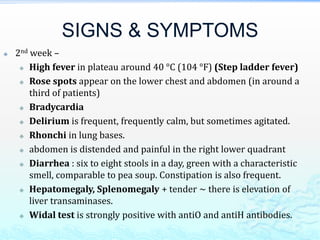 Typhoid & c holera zaim | PPT