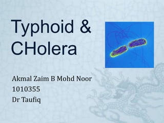 Typhoid & c holera zaim | PPT