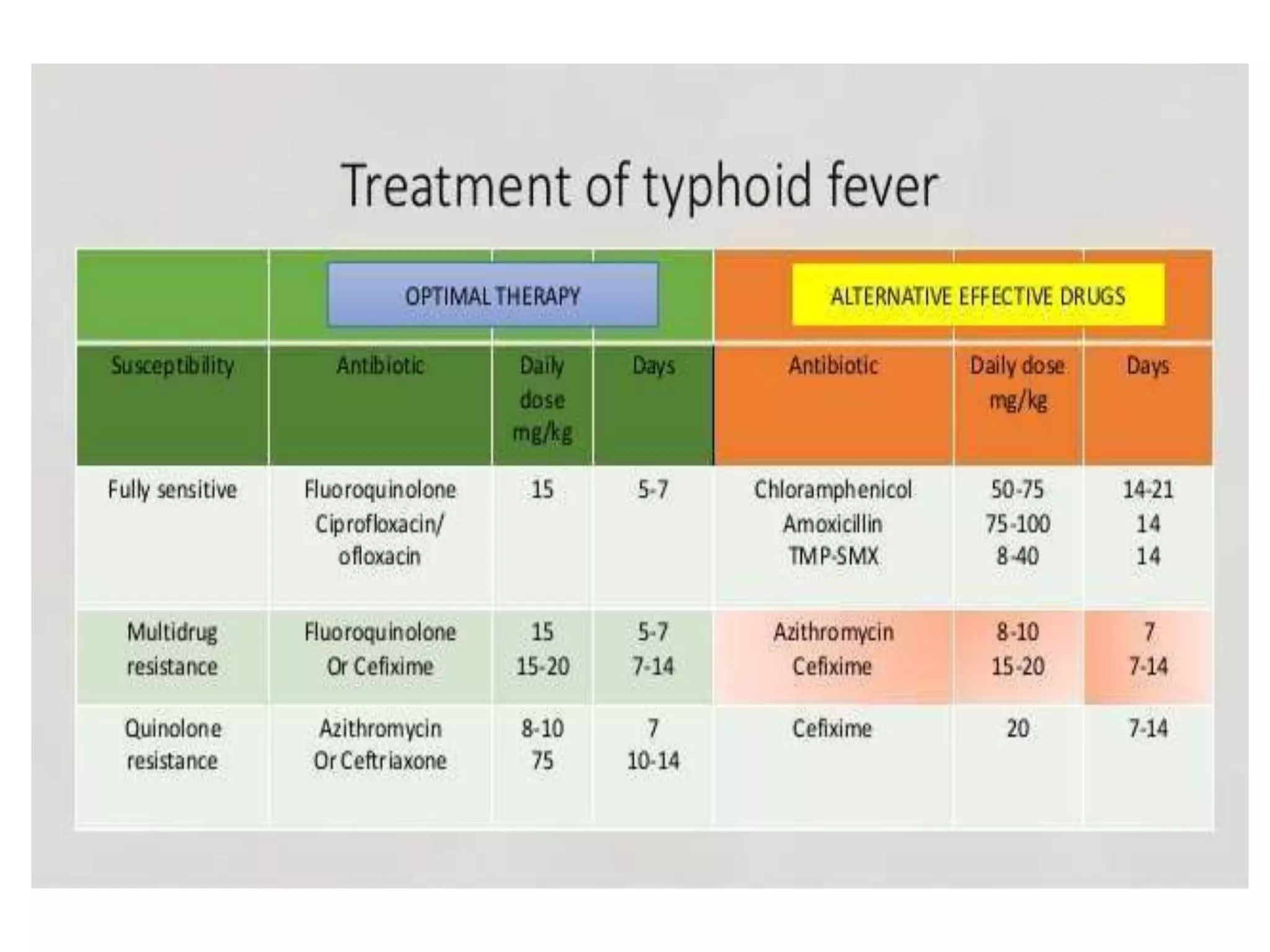 Typhoid control | PPT