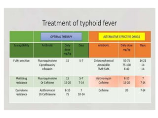 Typhoid control | PPTX