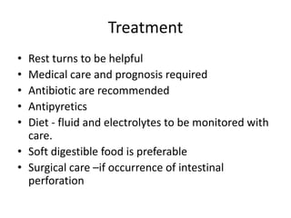 Typhoid control | PPTX