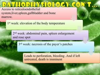 Typhoid disease | PPTX