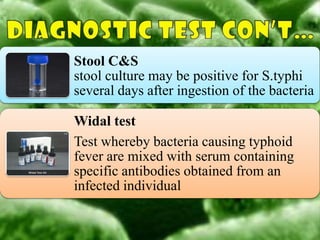 Typhoid disease | PPTX