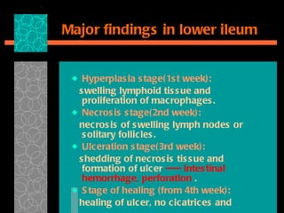 Typhoid fever | PPT