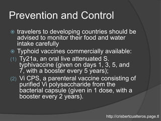 Typhoid Fever: Clinical Manifestations, Diagnosis, Treatment ...
