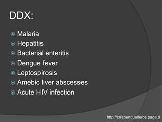 Typhoid Fever: Clinical Manifestations, Diagnosis, Treatment ...