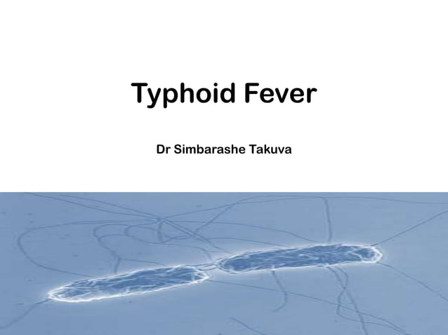 Typhoid fever | PPTX | Infectious Diseases | Diseases and Conditions