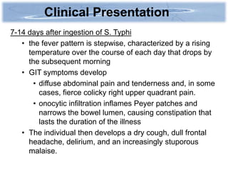 Typhoid fever | PPTX