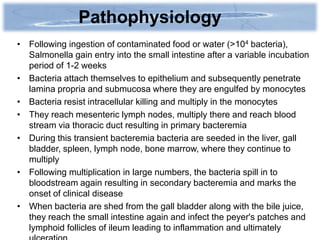 Typhoid fever | PPTX