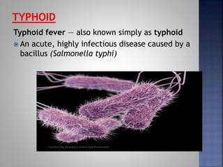 Typhoid fever | PPTX